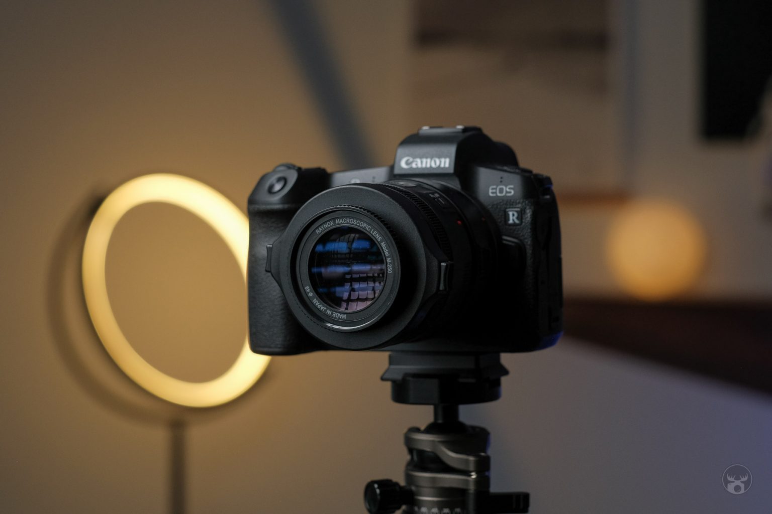 Raynox DCR-250 Macro Lens Review