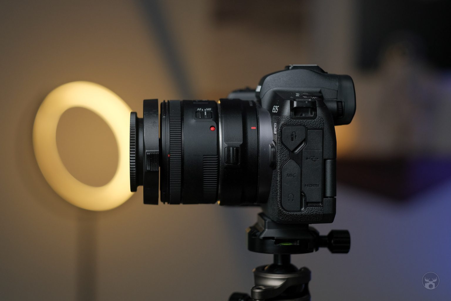 Raynox DCR-250 Macro Lens Review
