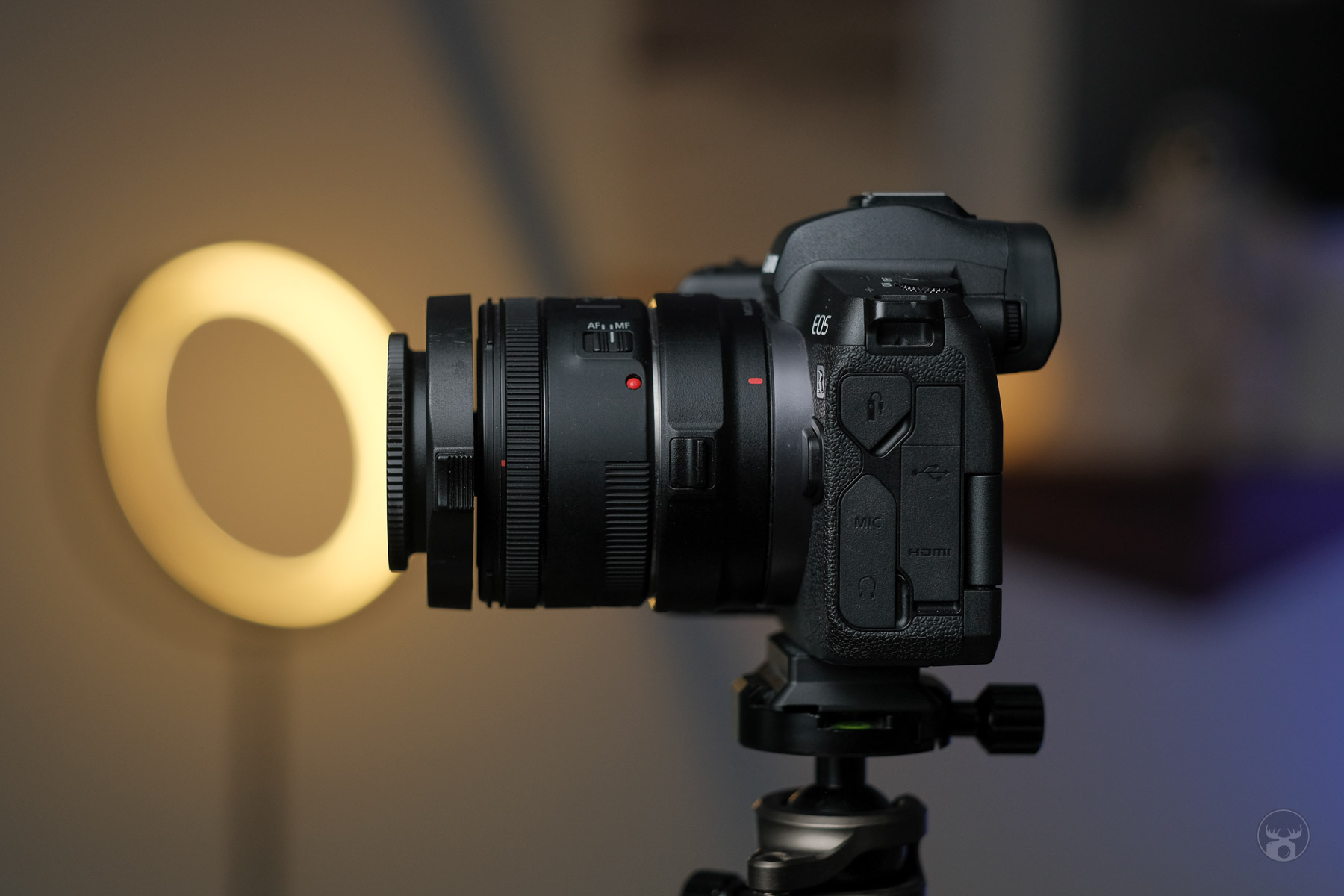 Raynox DCR-250 Macro Lens Review