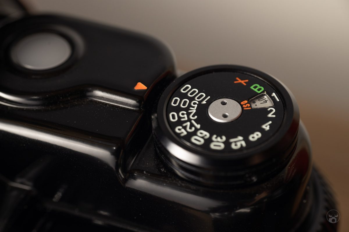 Raynox DCR-250 Macro Lens Review